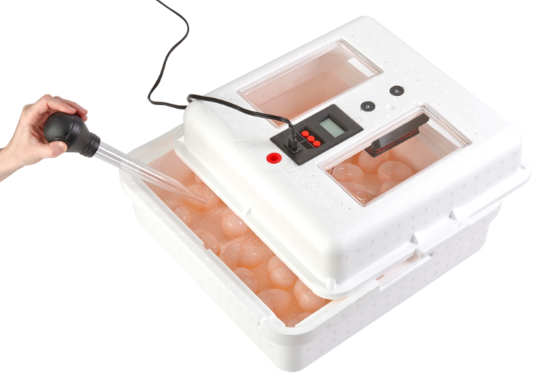 Little Giant 9300 Digital Still Air Incubator w/ LCD Display for 41 ...