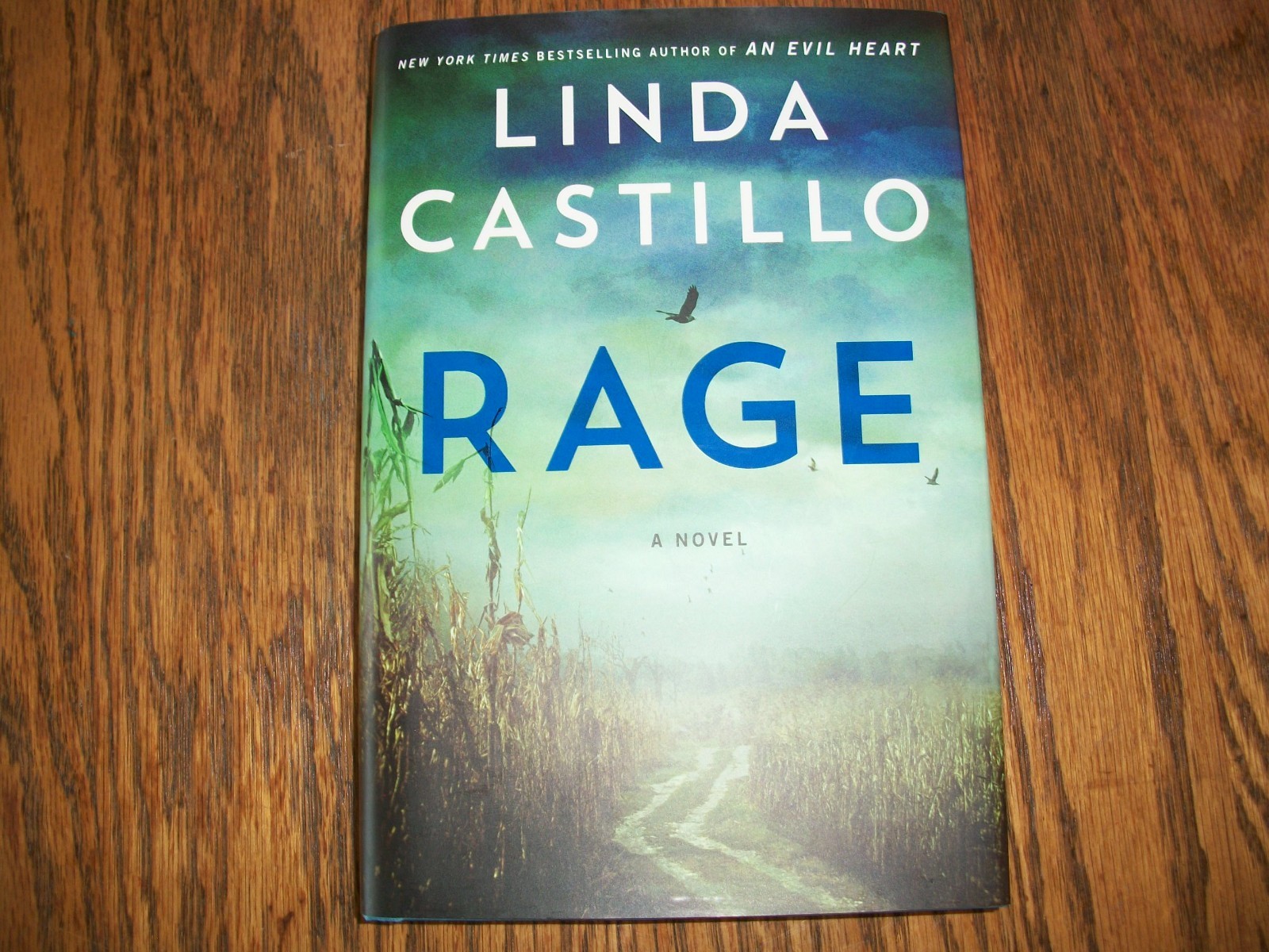 Rage Hardcover by Linda Castillo Brand New Hardback 2025 9781250781147 ...