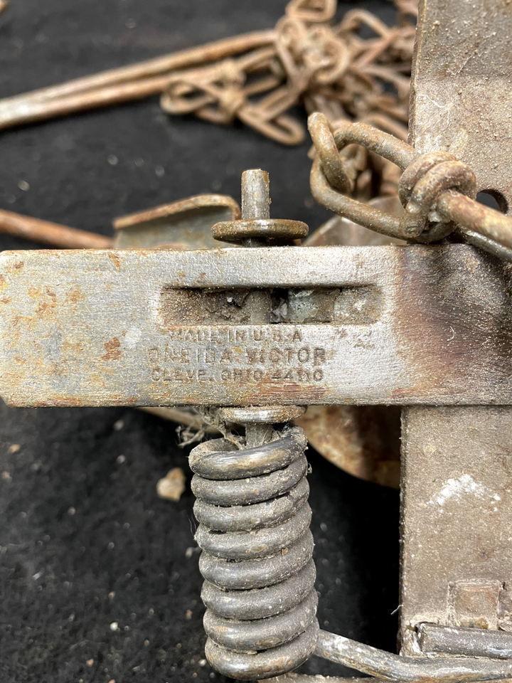 Victor/Oneida #3 Offset Coil Spring Trap w chain,shok springs & hook | eBay