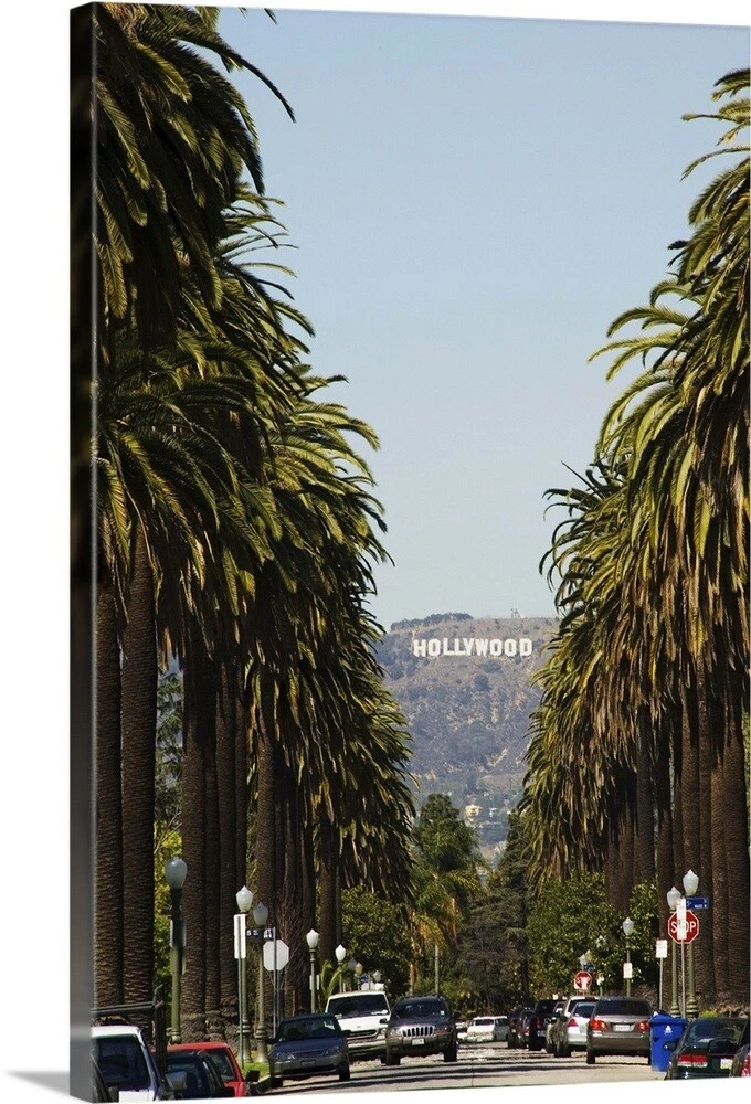 Hollywood Sign And Palm Trees