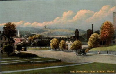 Athol, Mass, The Sentinel Elm | eBay