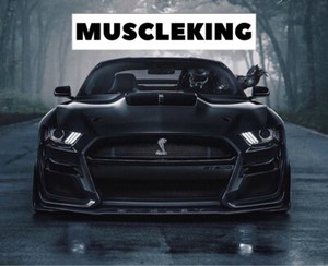 musclekingg | eBay Stores