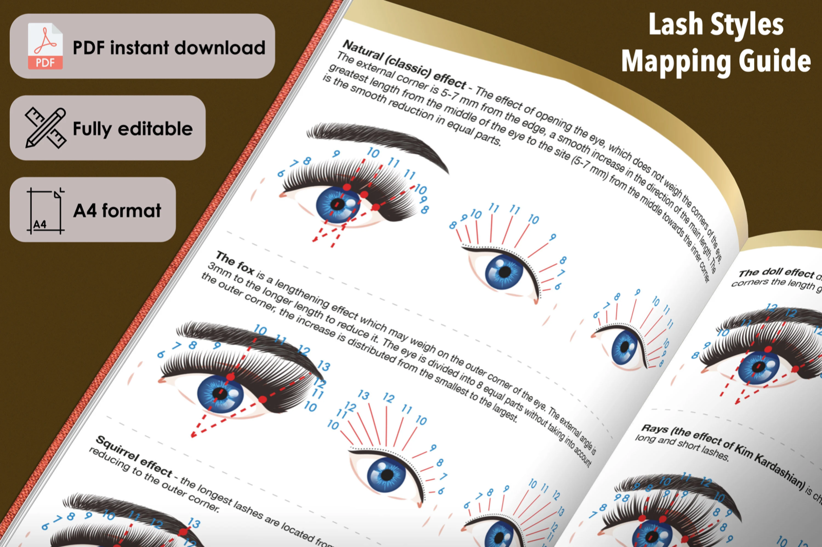 Lash Mapping Sheets, Eyelash Extension Mappings Guide, Lash Styles ...