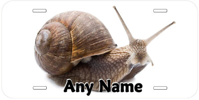 Snail Any Name Personalized Novelty Car License Plate | eBay