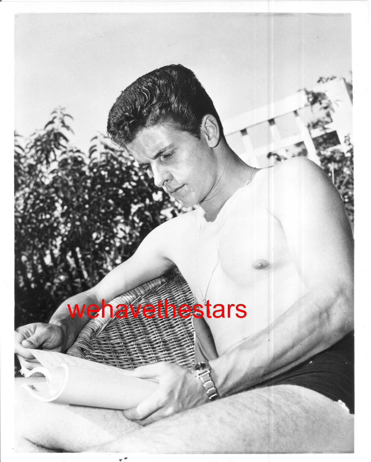 Vintage Peter Brown QUITE HANDSOME BEEFCAKE 50s Publicity Portrait GAY ...