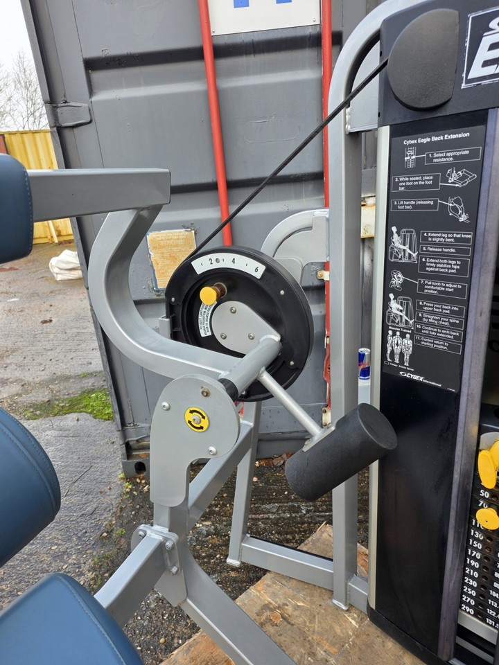 Cybex Eagle Lower Back Extension Machine Commercial Gym Equipment | eBay UK