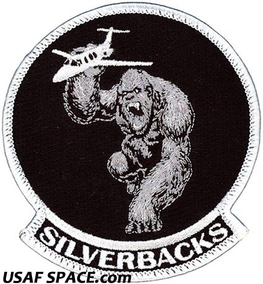 USAF 451st FLYING TRAINING SQUADRON -SILVERBACKS- Pensacola NAS, FL - VEL PATCH | eBay
