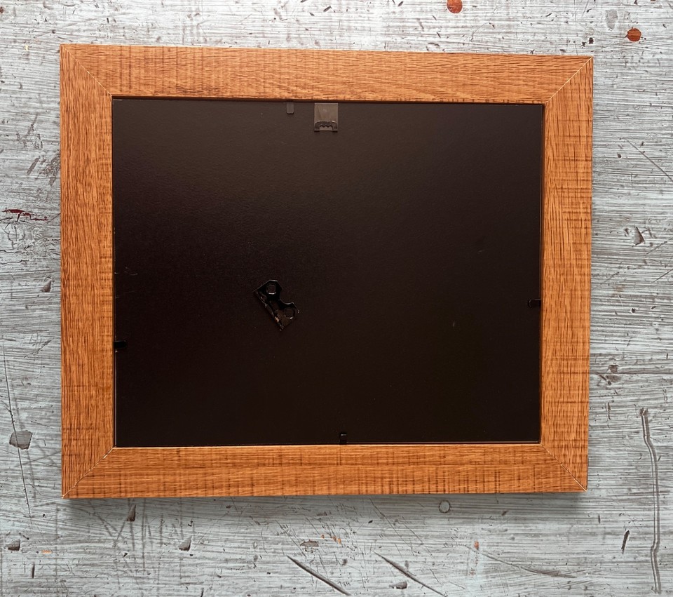 10"x12" Kamala Harris and Ruby Bridge's shadow framed photo | eBay