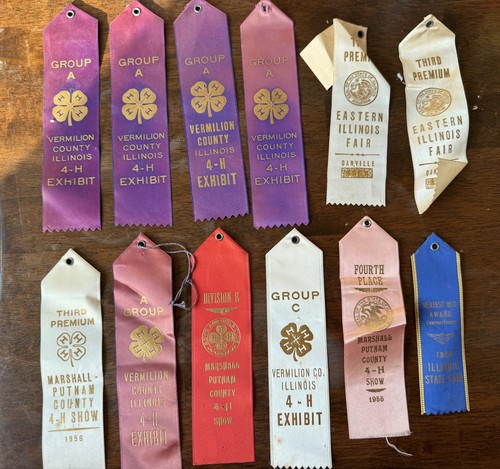 Lot 12 Vermilion County Marshall-Putnam 4-H Show Eastern Illinois Fair ...