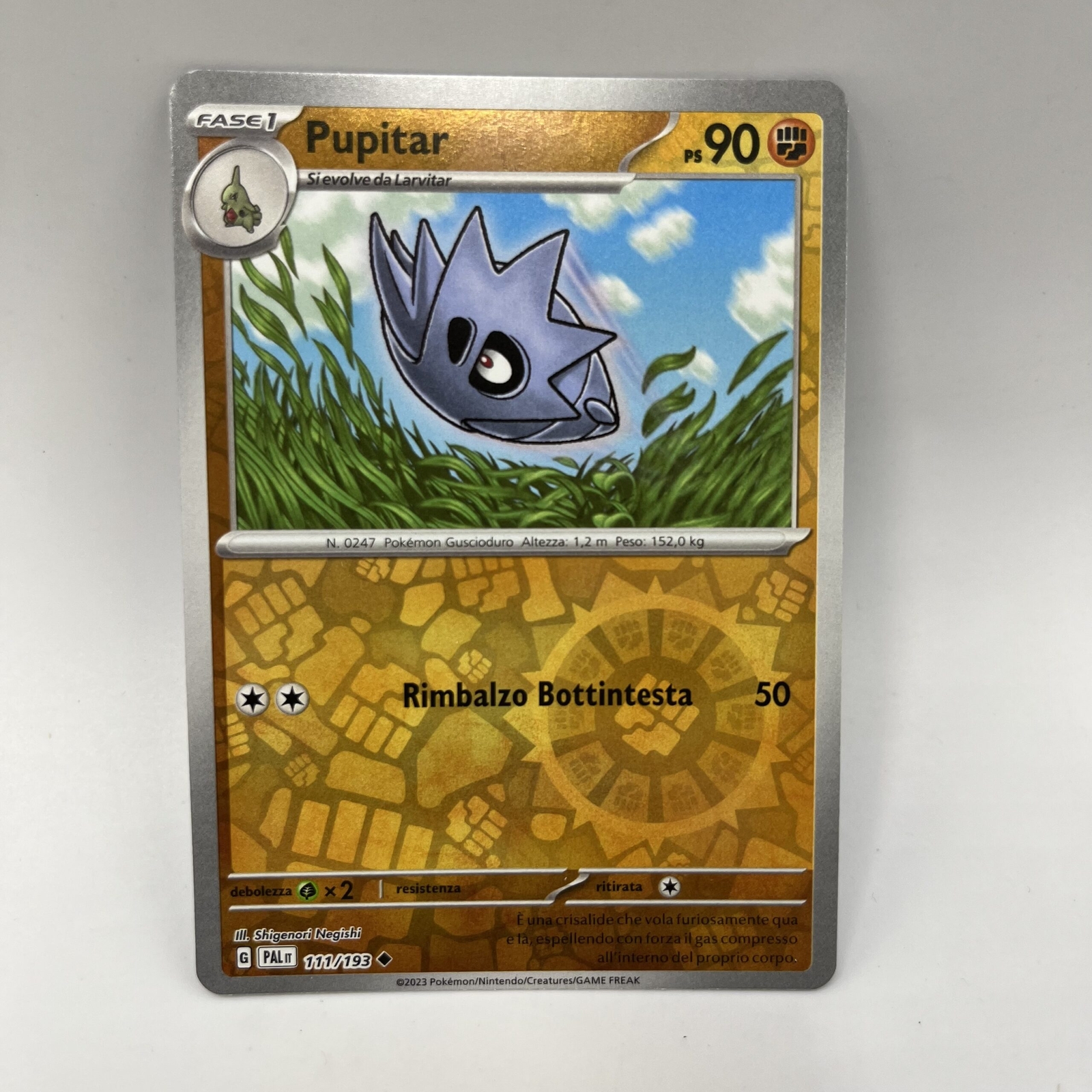 Card Pokemon Pupitar Doesn'T Common Reverse (It) 111-193 Evolutions IN ...