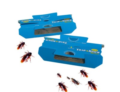COCKROACH TRAPS GLUE TRAP CRAWLING INSECT PEST CONTROL x 5 - PRO ...