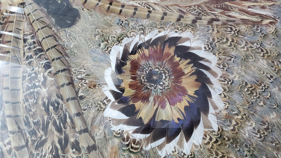 Vintage Native American Handmade Wall Art Made with All Bird Feathers ...