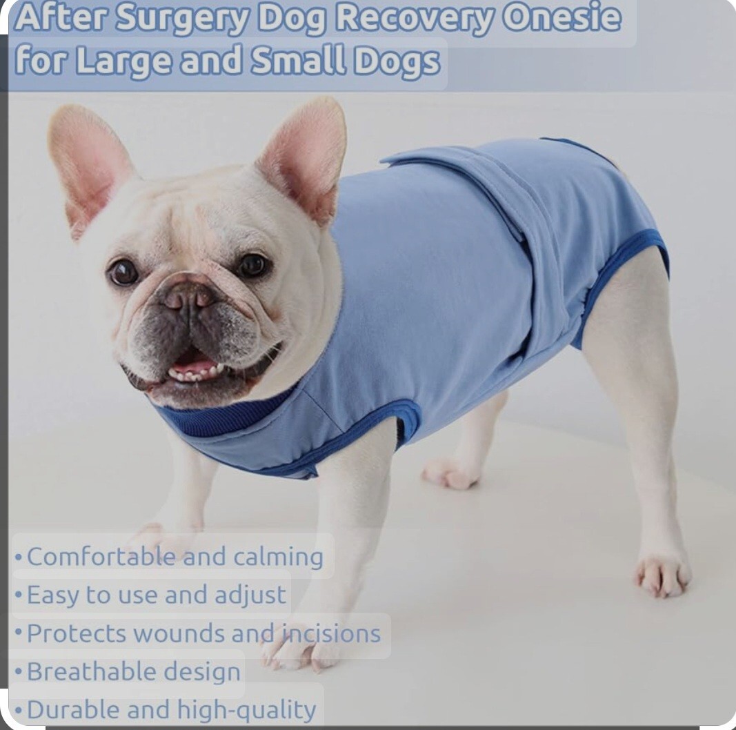 Post-operative Pet Wear Dog Surgery Recovery Suit - Pet Surgical Onesie ...