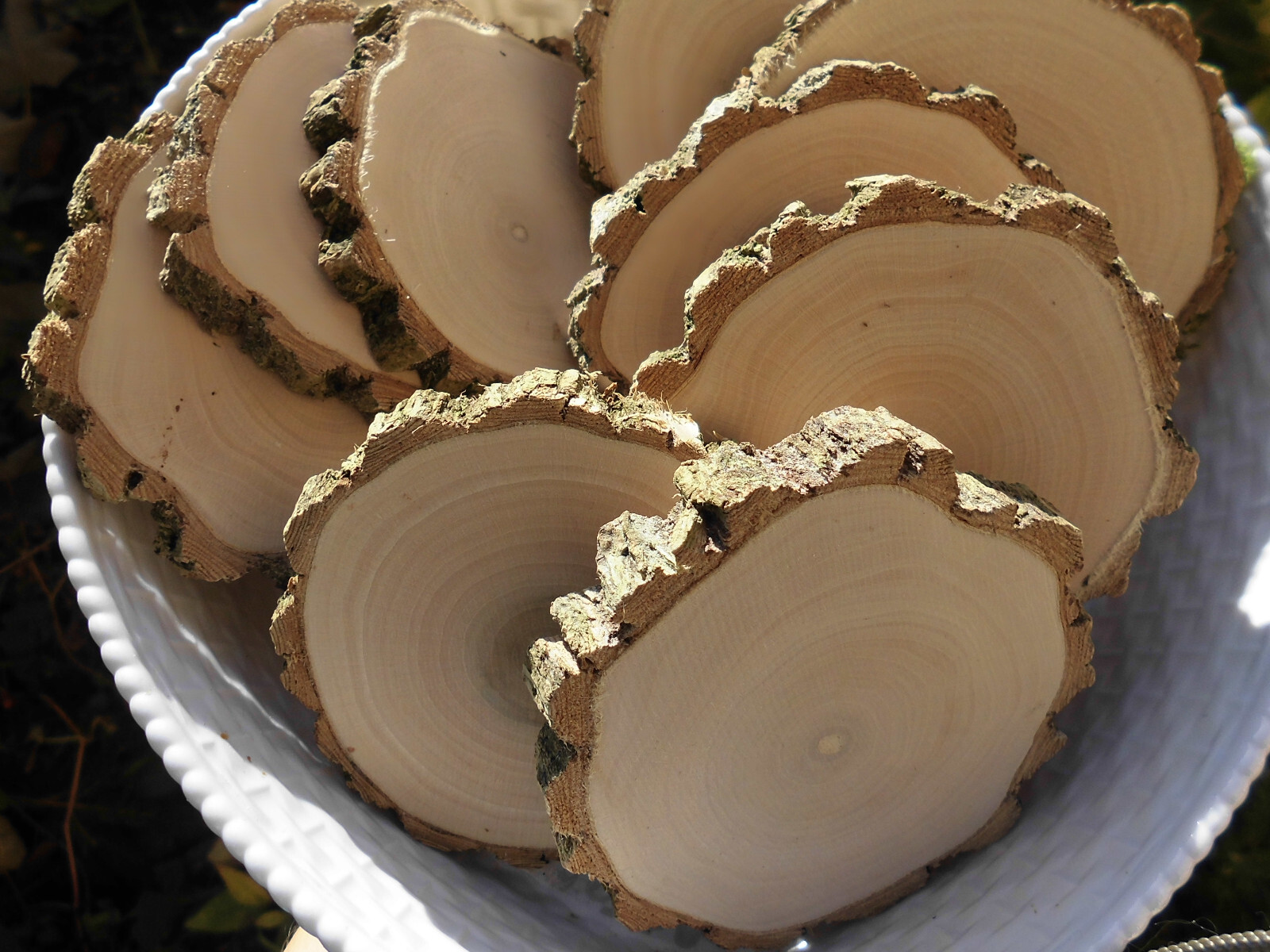 10 x Holzscheiben Astscheiben Baumscheiben Holunder Hochzeit -Basteln ...