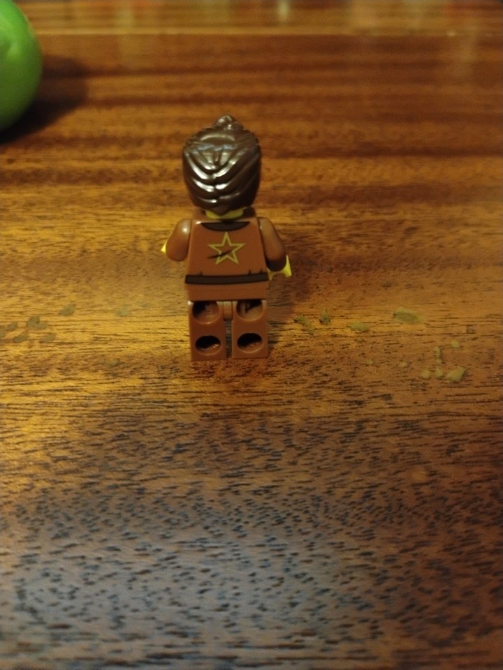 Lego Ninjago Minifigure: Dareth 2014 Read Description | eBay