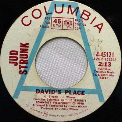 JUD STRUNK LIONS IN THE DARK / DAVID'S PLACE 45 7" VINYL RECORD G+ ...