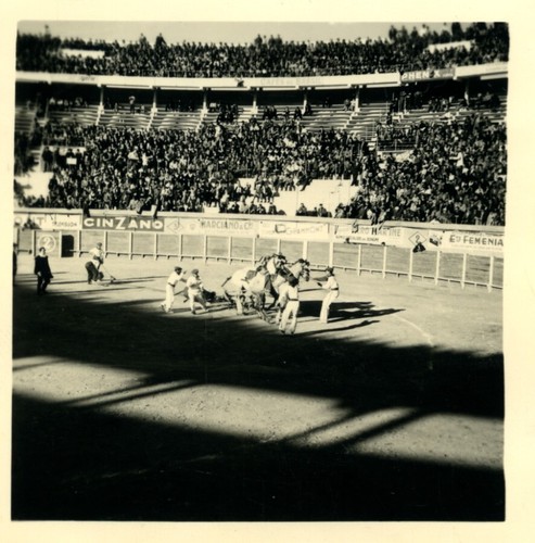 France/Algeria Oran Arena Corrida Bullfighting Old Photo snapshot 1957 ...