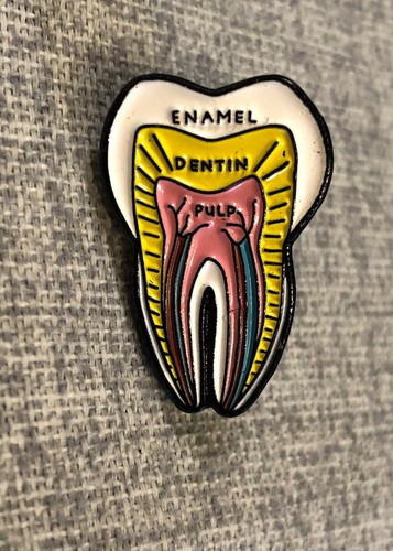 Tooth Pin Dental Anatomy Dentist Decorative Tooth Size Small 1” Fun ...