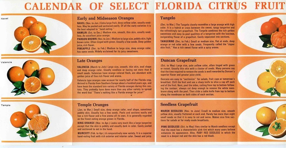 1950's Calendar of Select Florida Citrus Fruit Brochure Oranges ...