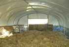 Livestock Shelter Sheep House Polytunnel Field Barn – 21ft Wide Sheep ...