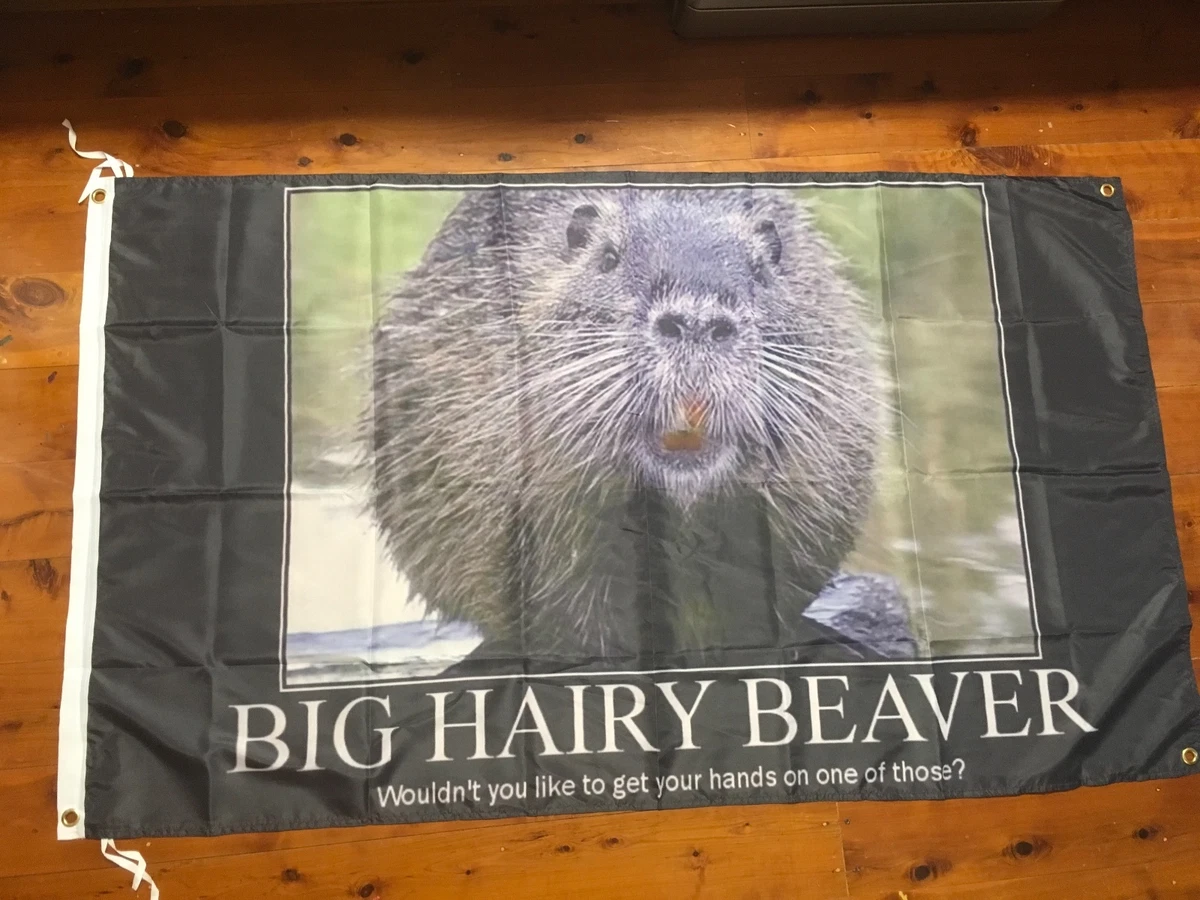 Beaver Wall Mount