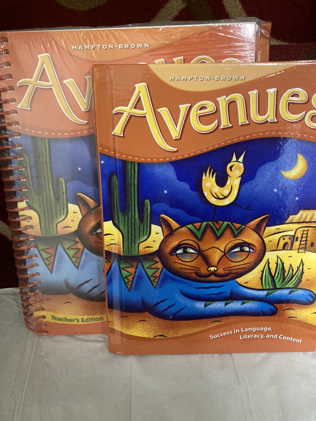 Avenues Grade 3 - Level D text book and teacher guide | eBay