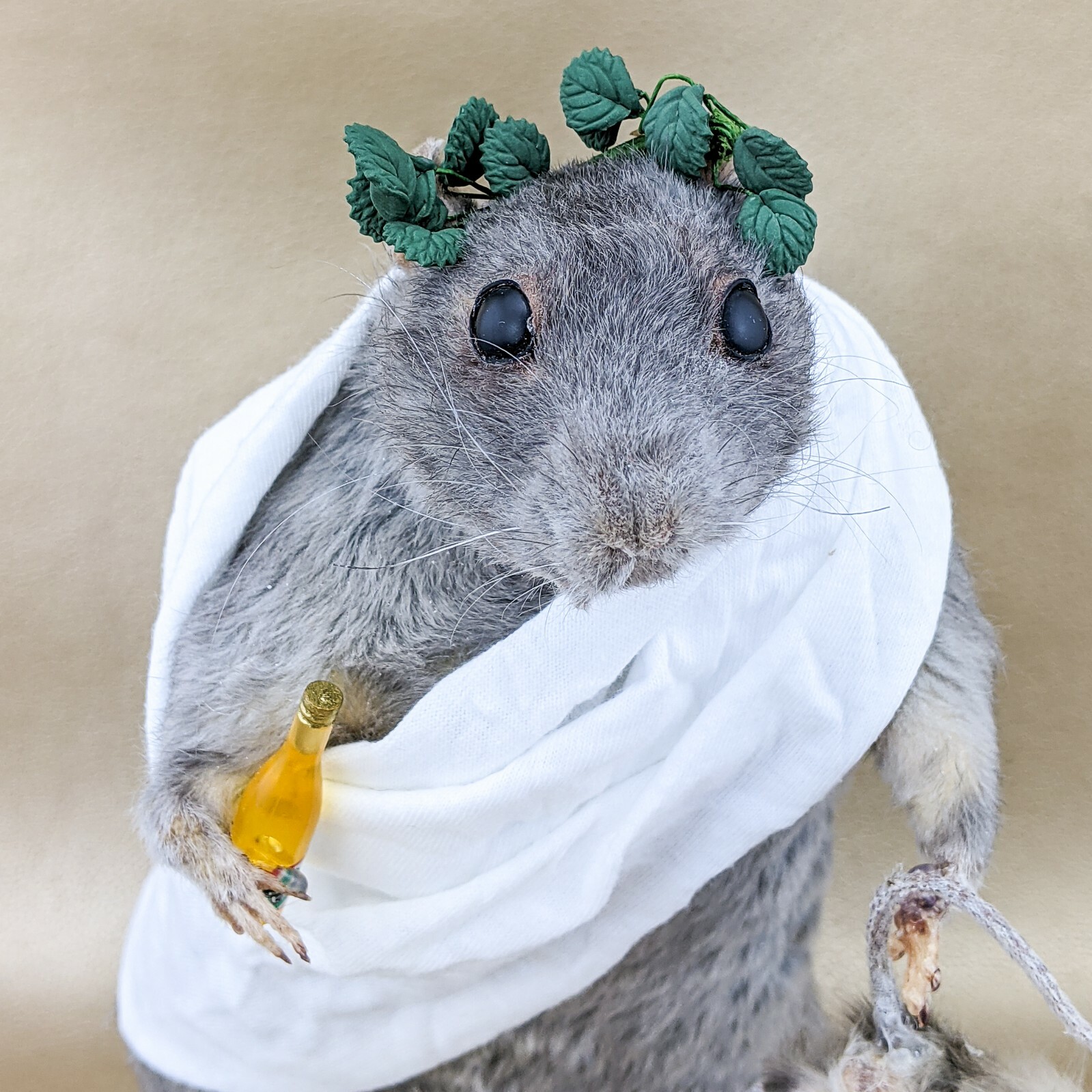 G35 Frat Rat Taxidermy Oddities Curiosities Mouse Animal House John ...