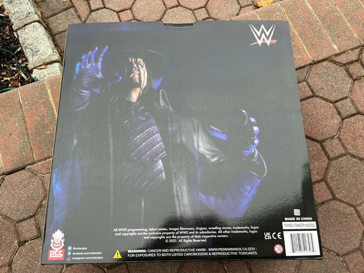 Undertaker Vs Undertaker Summerslam 1994