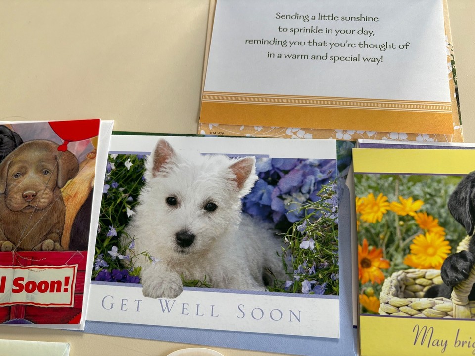 100 New Unused Greeting Cards Matching Envelopes Birthday Note Cards ...