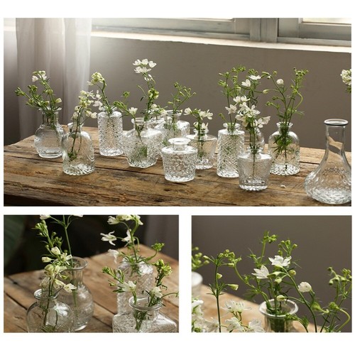 Transparent Hydroponic Terrarium Flower Pot Glass Vase Table Decorative ...
