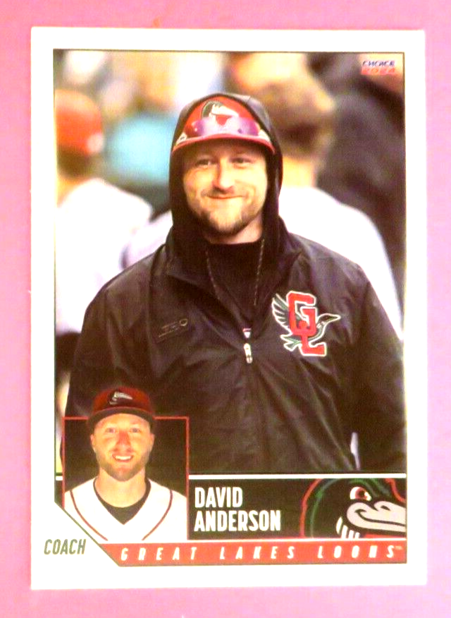 2024 Choice, Great Lakes Loons, PC - DAVID ANDERSON | eBay