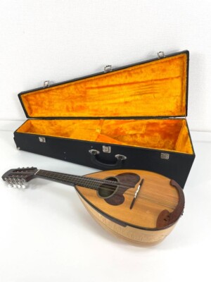 Suzuki mandolin M-30 Brown Bowl Back String Instrument w/ Hard Case ...
