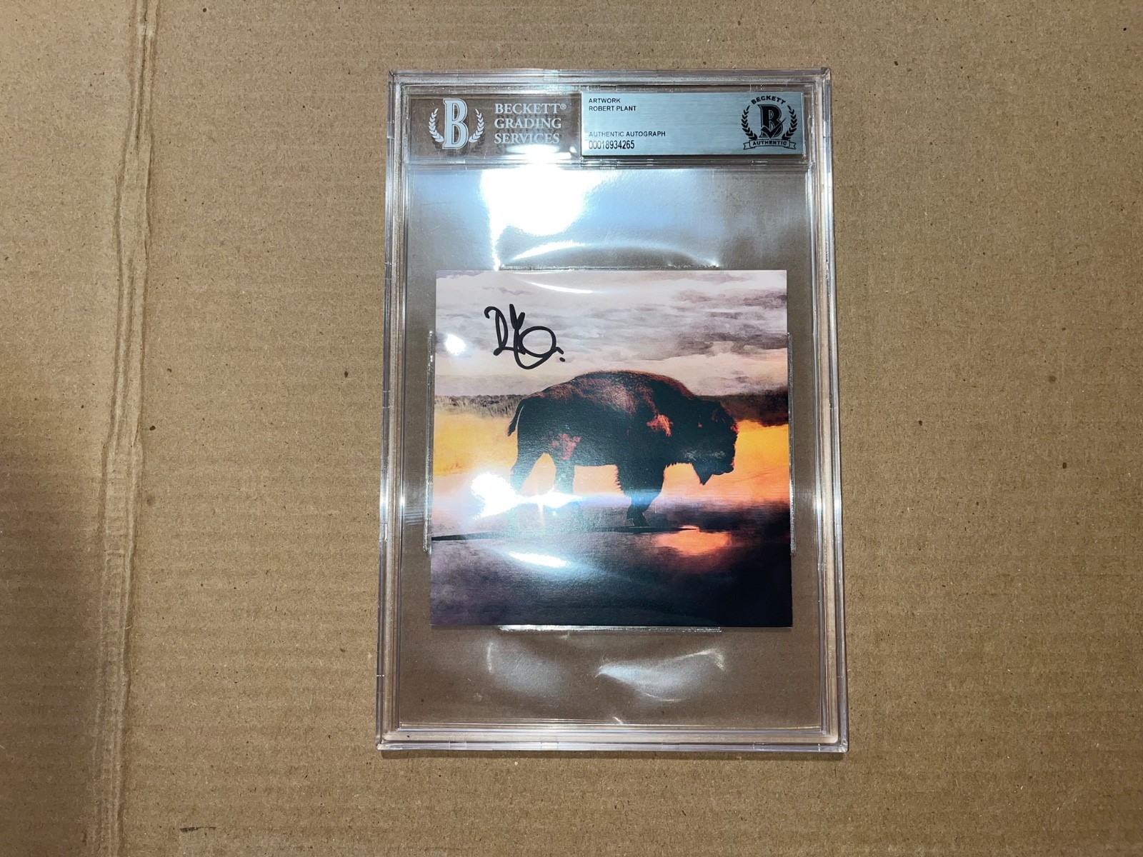 Robert Plant Signed Autographed Beckett Slabbed Slab Encapsulated ...