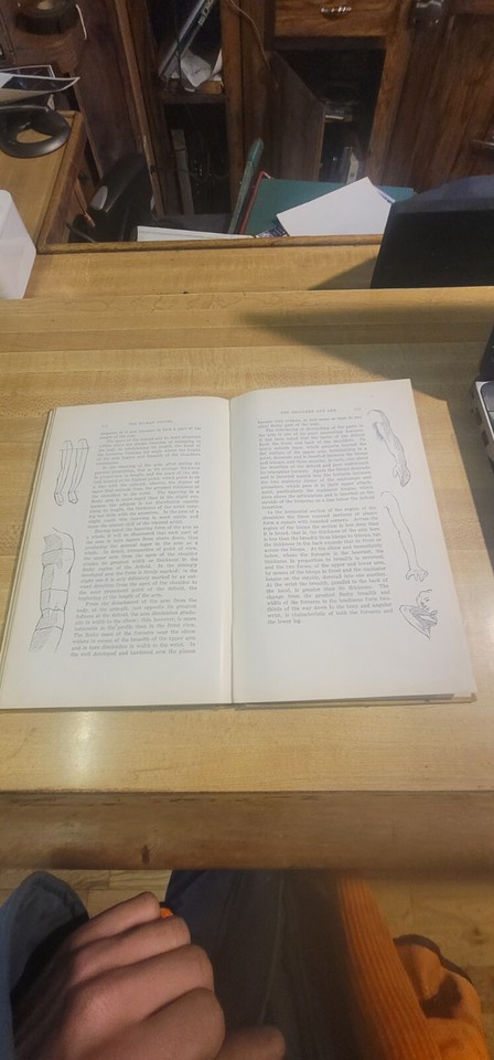 The Human Figure by JH Vanderpoel • 1919 Antique Book | eBay