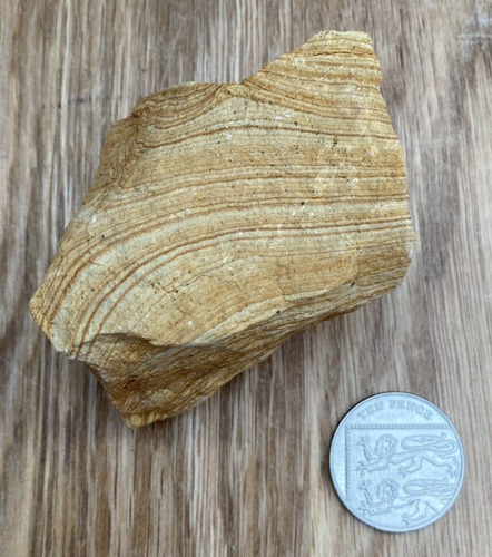 Mineral Specimen, Banded Sandstone/Calcite in Limestone, 68mm, 117g ...
