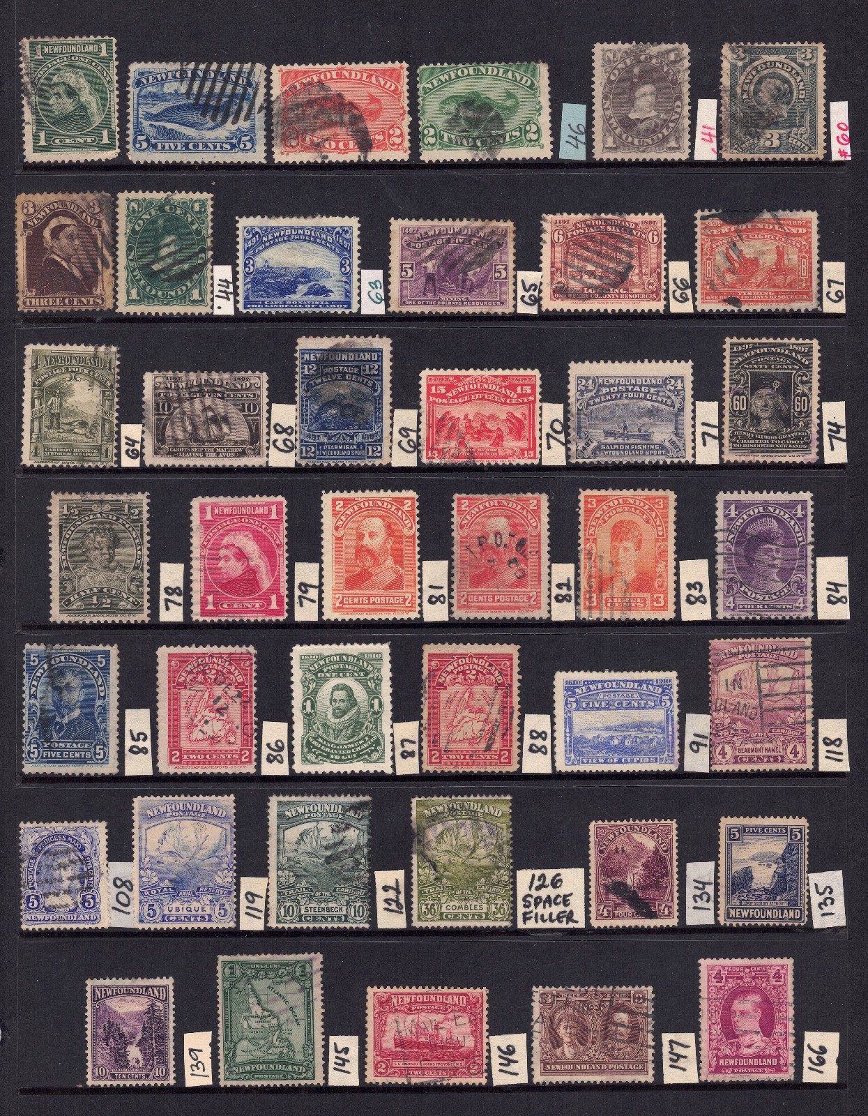 NEWFOUNDLAND EARLY Collection of USED and UNUSED Stamps, ALL on a Stock ...