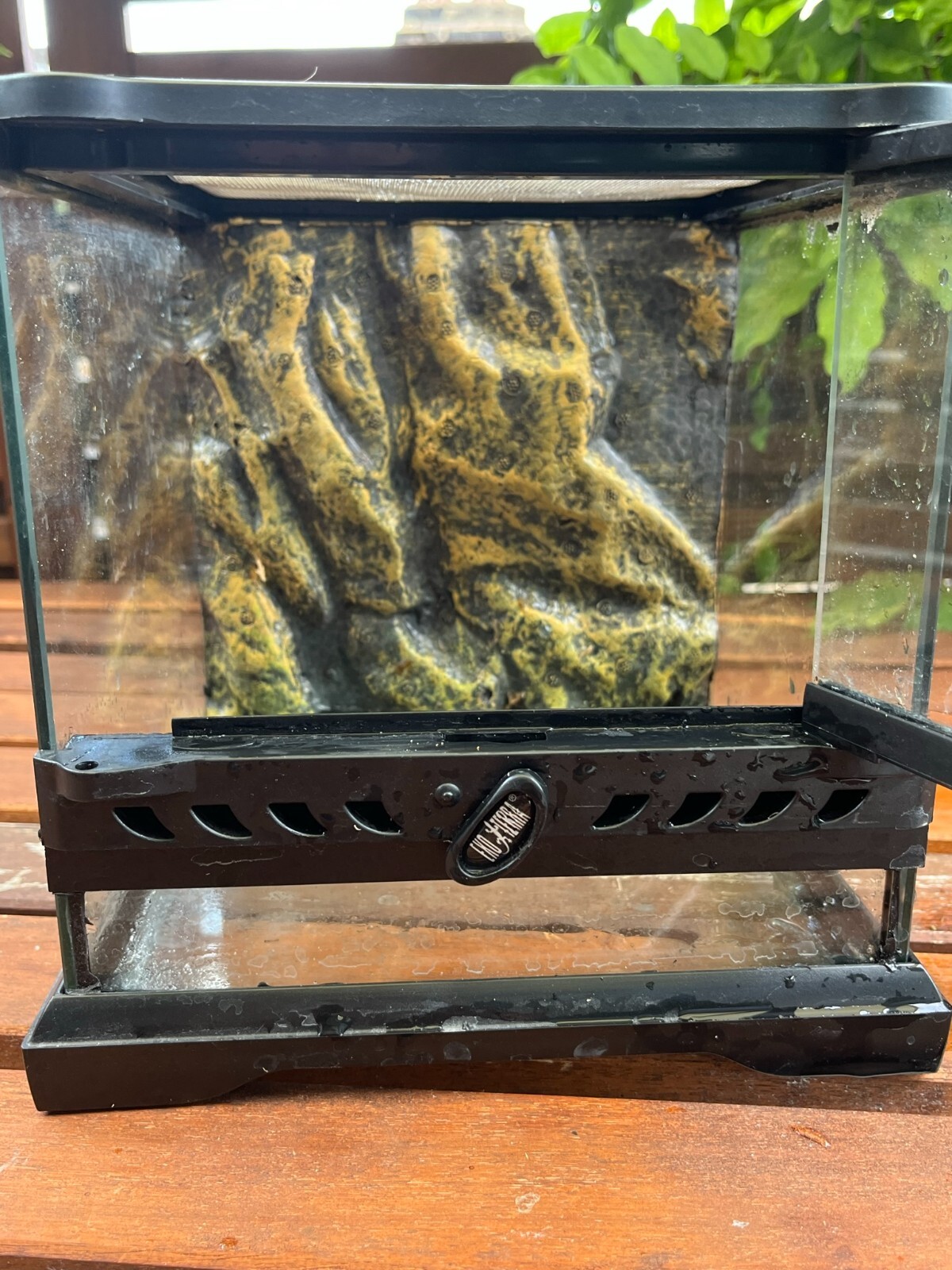 Exo+Terra+PT2599+Glass+Terrarium+Kit+for+Reptiles+and+Amphibians+20x20x20 for sale online | eBay