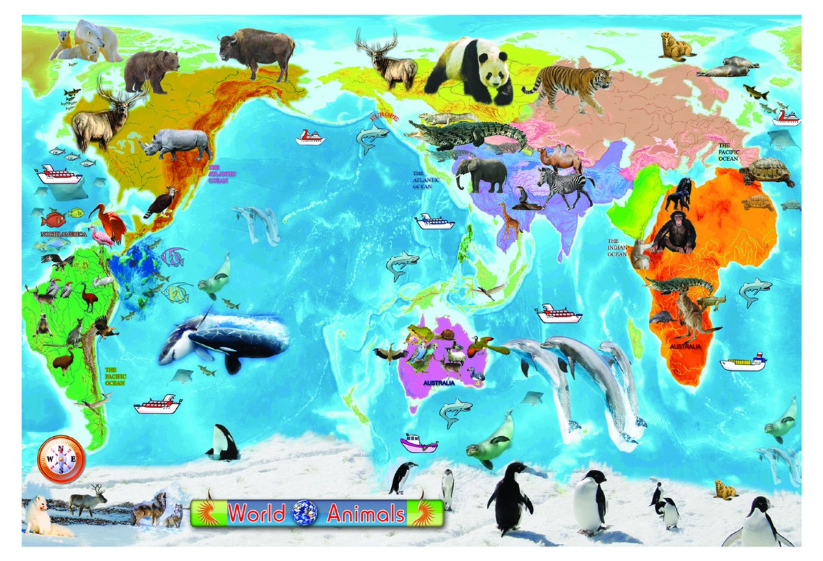 Largest Animals In The World Chart