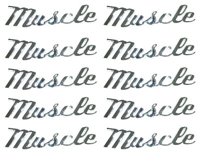 MUSCLE Chrome Script Automotive Lettering Emblem Emblems Set of 10 | eBay