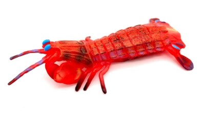 Mantis Shrimp Animal Toy 5 Inch PVC Action Figure Doll Kids Toys Party ...
