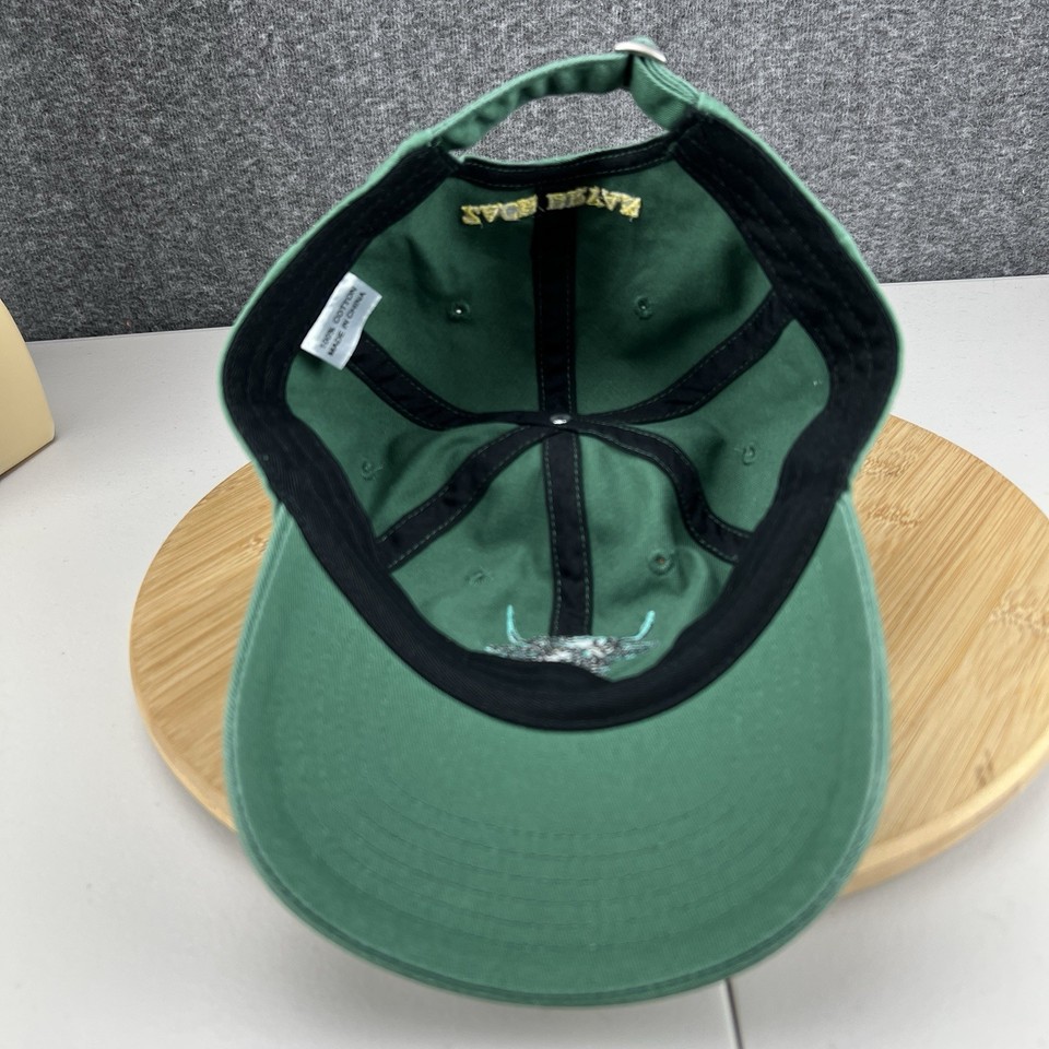 Zach Bryan Burn Burn Burn Tour Hat Cap Strapback OSFM Green Merch ...