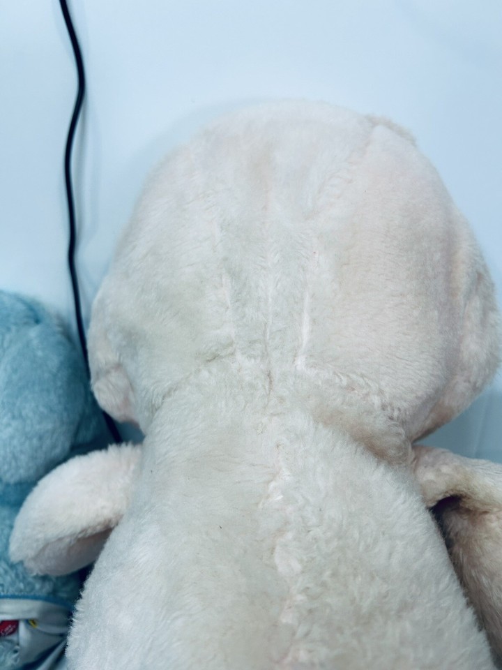 3 Vintage Care Bears 1 Large One & 2 Smaller Ones | eBay