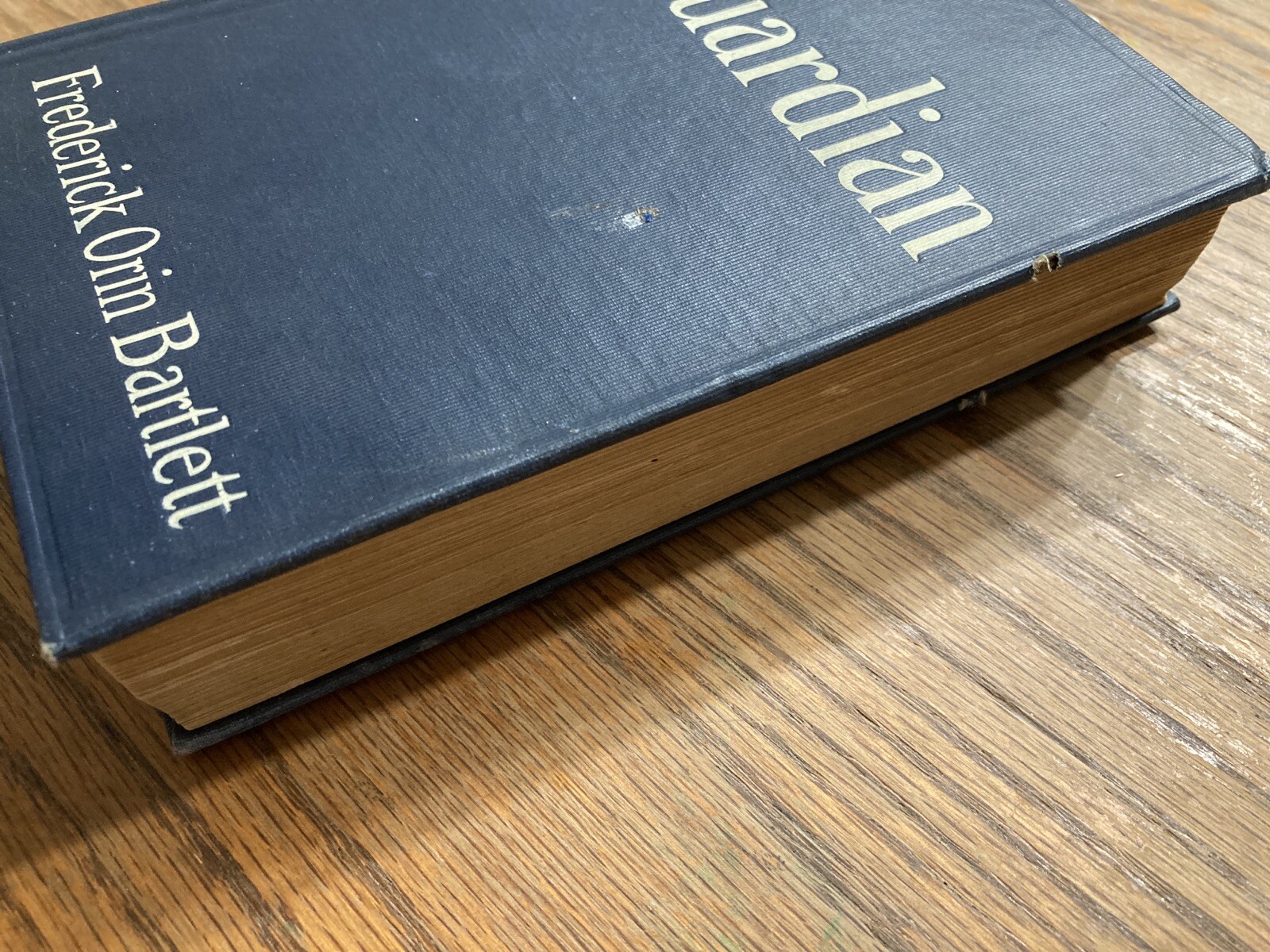 The Guardian, by Frederick Orin Bartlett ... with a Frontispiece by N ...