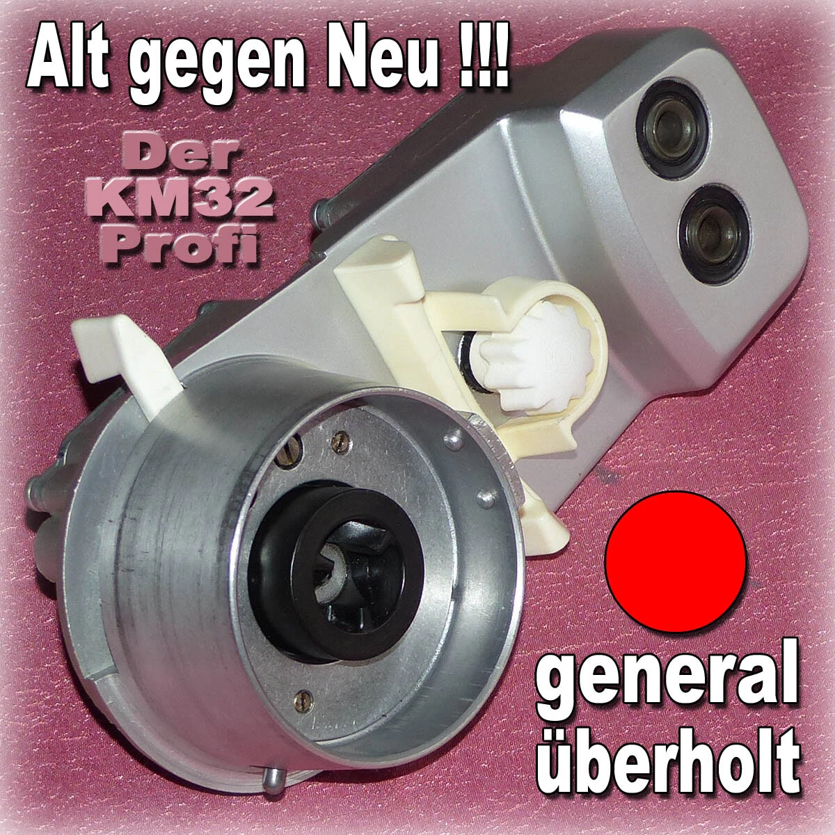 Fuchs Rücken Hunger braun küchenmaschine km 32 Leckage Verwaltung Ablehnen