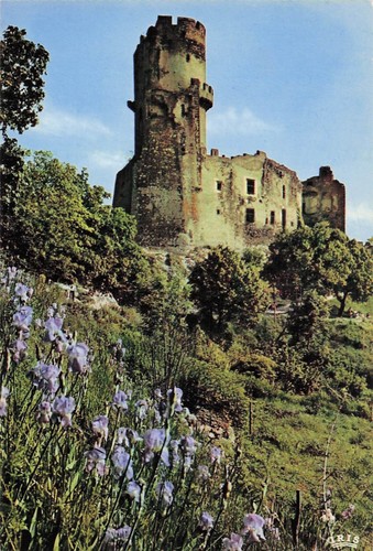 63 CHATEL GUYON CHATEAU DE TOURNOEL | eBay