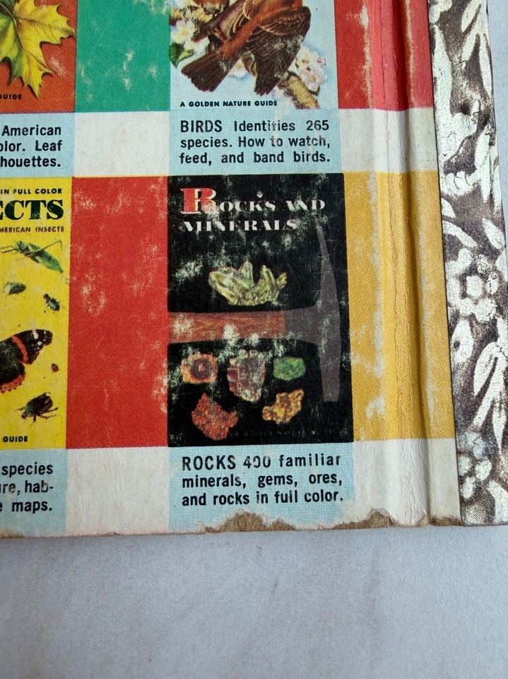 Walt Disney's BIG RED Vintage Little Golden Book 1962 "A" 1st Edition ...