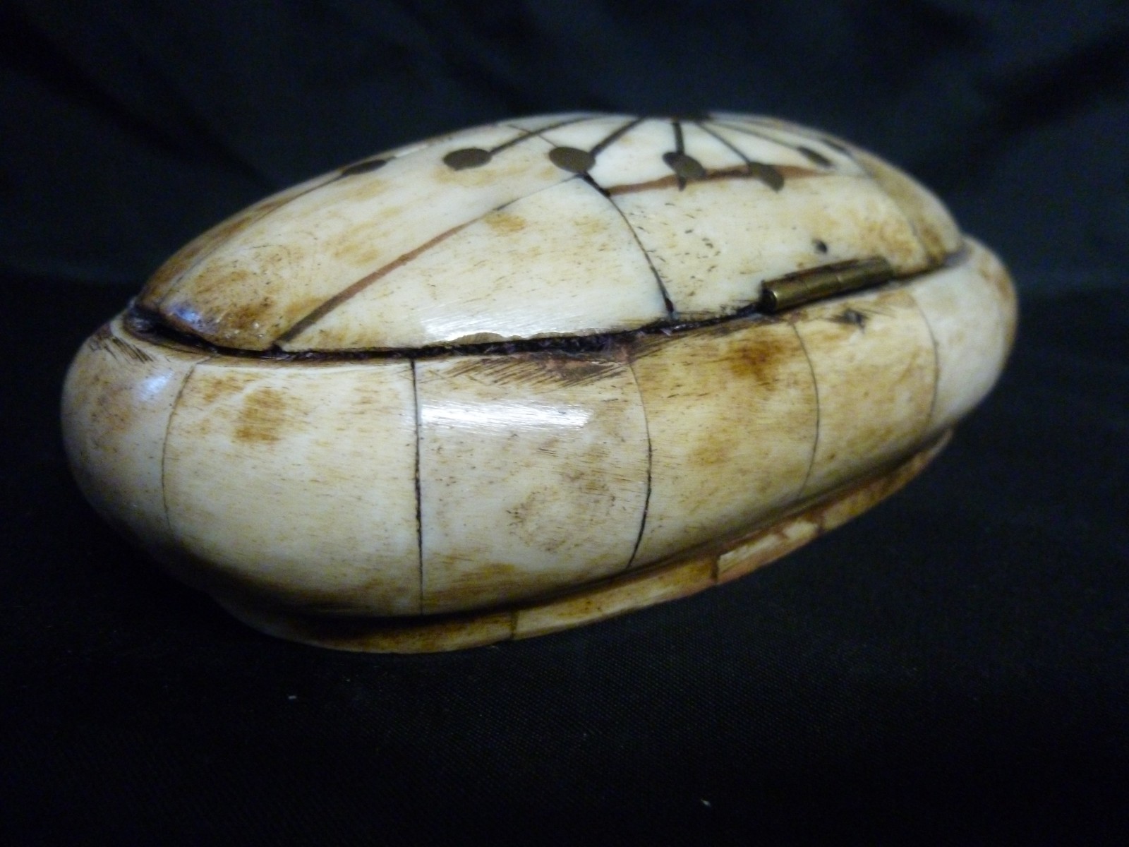 Antique Oval Bovine bone Trinket box with Brass inlay 14.5cm x 7.5cm ...