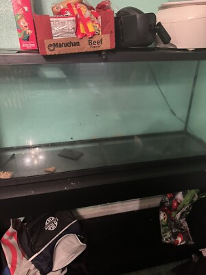 Fish Tank | eBay