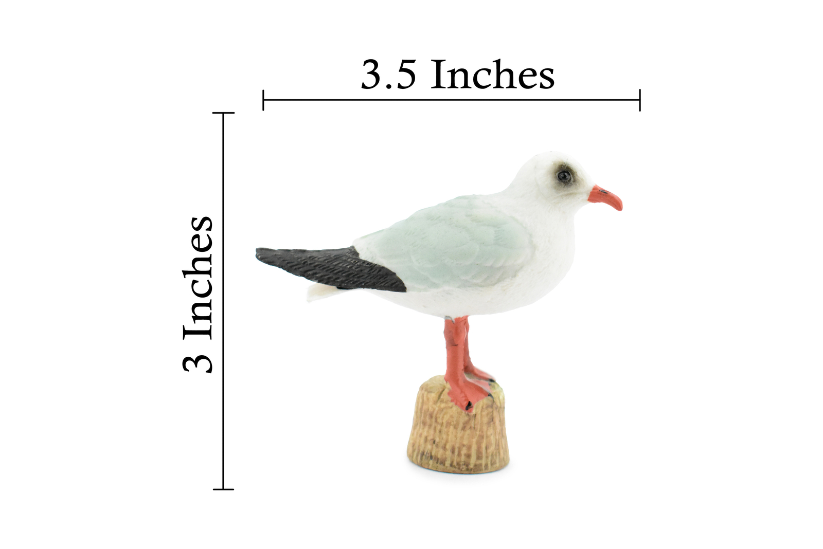 Seagull, Sea Gull, Realistic Toy Bird Figure, Model, Replica, 3.5 ...
