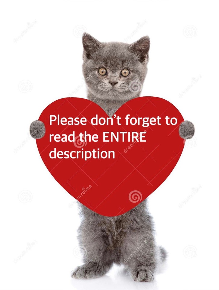 MORGAN TAYLOR Purple Sheer Shiny Embroidery String Bikini Panties ...